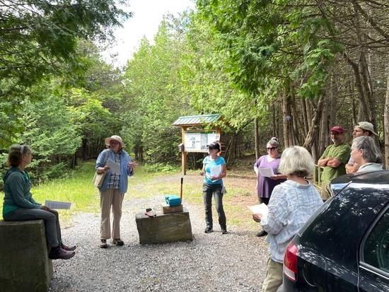 Grant launches ADK Garden Club restoration project | Sun Community News ...