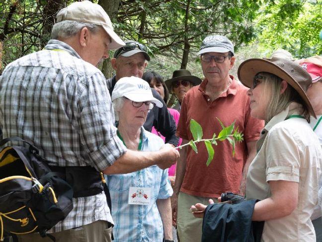 ADK Garden Club's Essex Quarry preservation project continues | Sun ...