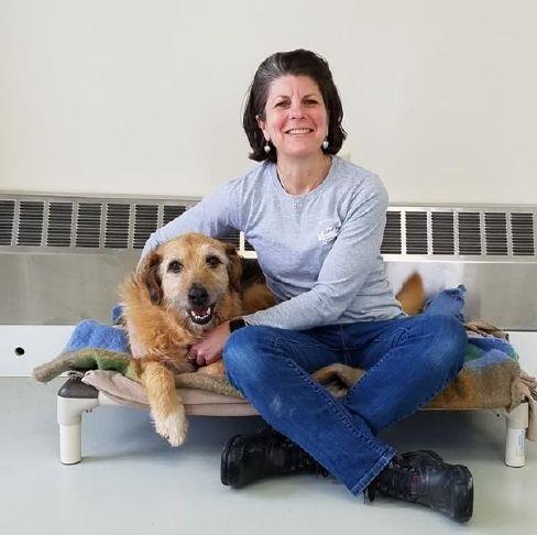 RCHS names executive director | Sun Community News PITTSFORD | Members ...