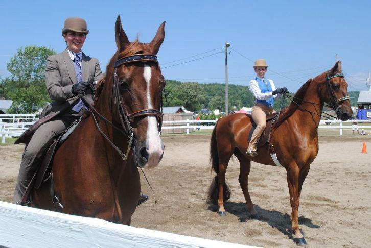 Addison County's heritage of agriculture is alive at Field Days | Sun ...