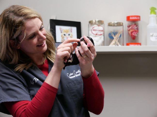 Erin Pratt Schroeder, family to return to TV | Sun Community News ...