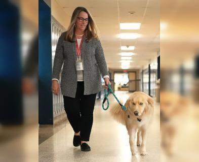 Doogan the Dog offers comfort and smiles to Peru students | Sun ...
