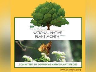 April is now officially NY Native Plant Month | Sun Community News ...