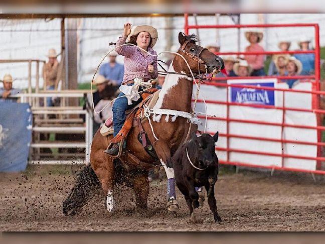 Painted Pony Rodeo: established in the 'dude ranch' era | Sun Community ...