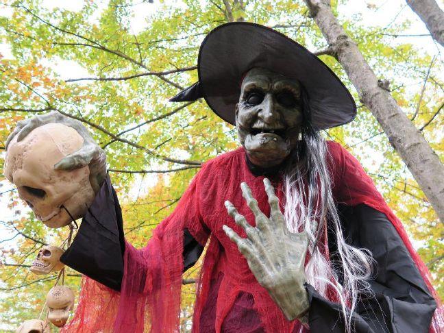 The haunting trail of Bumpkins Halloween | Sun Community News WEST ...
