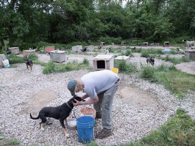 Underdog tells story of Vt. farmer, dog musher, dreamer | Sun Community ...