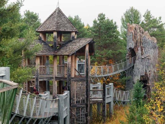 The Wild Center nominated again for Best Science Museum in U.S. | Sun ...