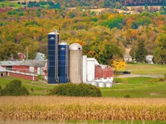 Farm Employer Overtime Tax Credit portal opens | Sun Community News ...