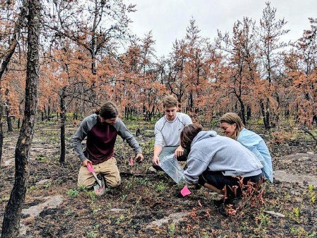 Plattsburgh State faculty join Miner staff to share love of science ...