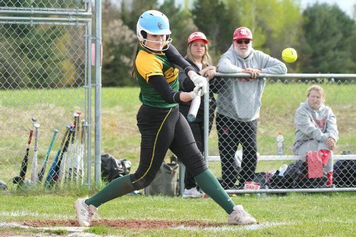 Peryea headlines locals on all-state softball teams | Sun Community ...