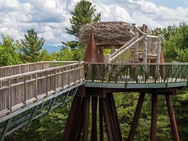 Wild Center becomes a Smithsonian Affiliate | Sun Community News TUPPER ...