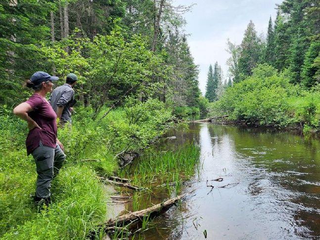 Paul Smith's offering free streamside property assessments | Sun ...