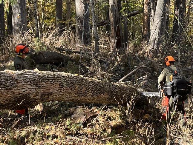DEC Forest Rangers clear downed trees in Pharoah Lake Wilderness area ...