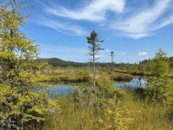 Public invited to climate-change listening sessions | Sun Community ...