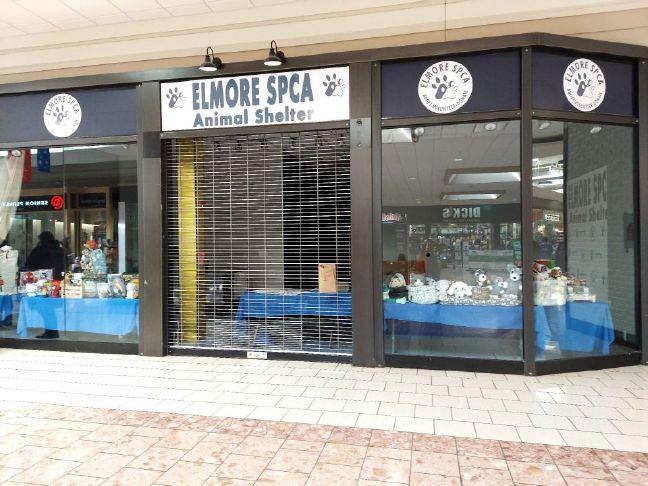 Champlain Centre celebrates new Elmore SPCA Outreach Location | Sun ...