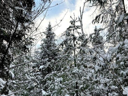 ACORN examines climate resilience strategies | Sun Community News PAUL ...