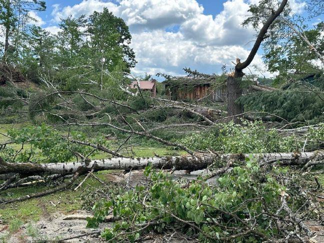 USDA approves Warren Co. forest restoration assistance | Sun Community ...