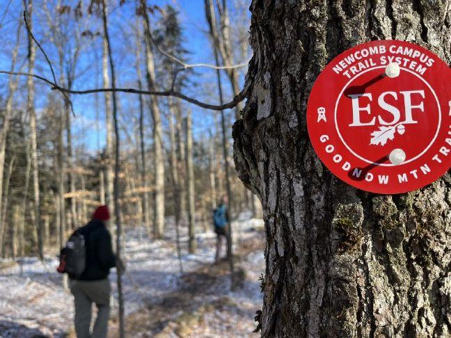 Adirondack Interpretive Center offers an educational experience | Sun ...