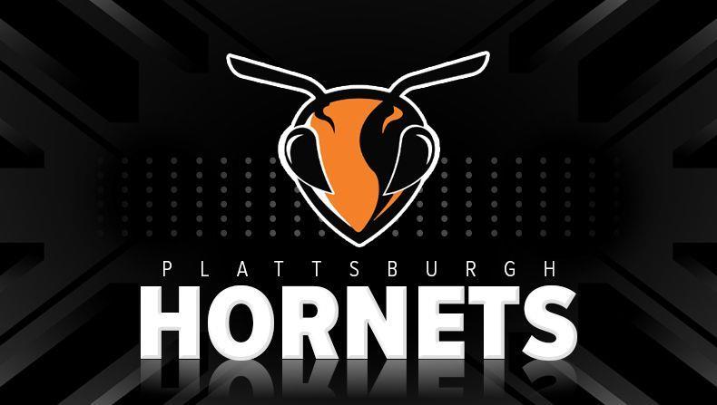 Calkins' six RBIs lift PHS over Moriah | Sun Community News PORT HENRY ...
