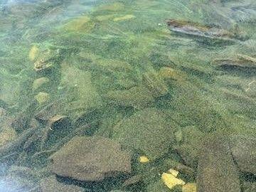 Point au Roche Beach temporarily closed | Sun Community News POINT AU ...