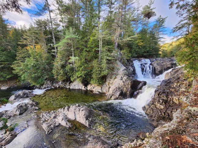 Atlantic salmon monitored in Boquet to strategize management | Sun ...