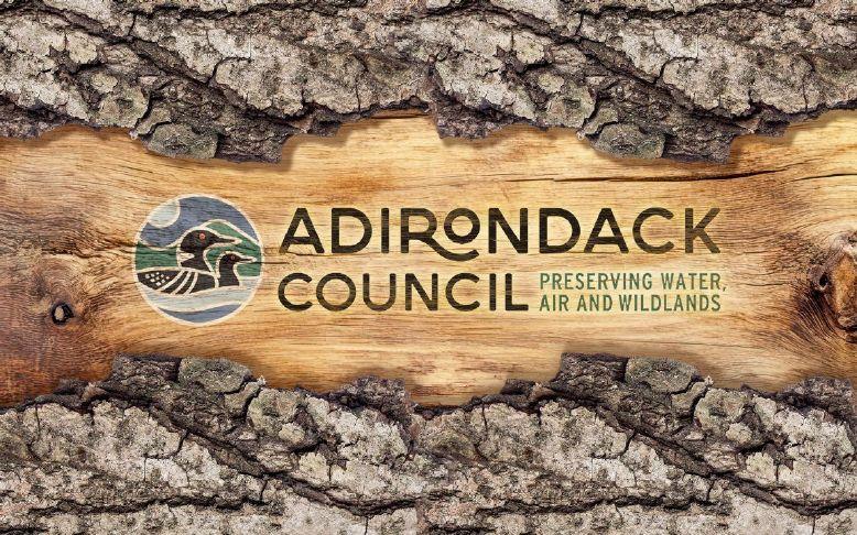 ADK brook trout populations rebound after 40 years of acid rain | Sun ...